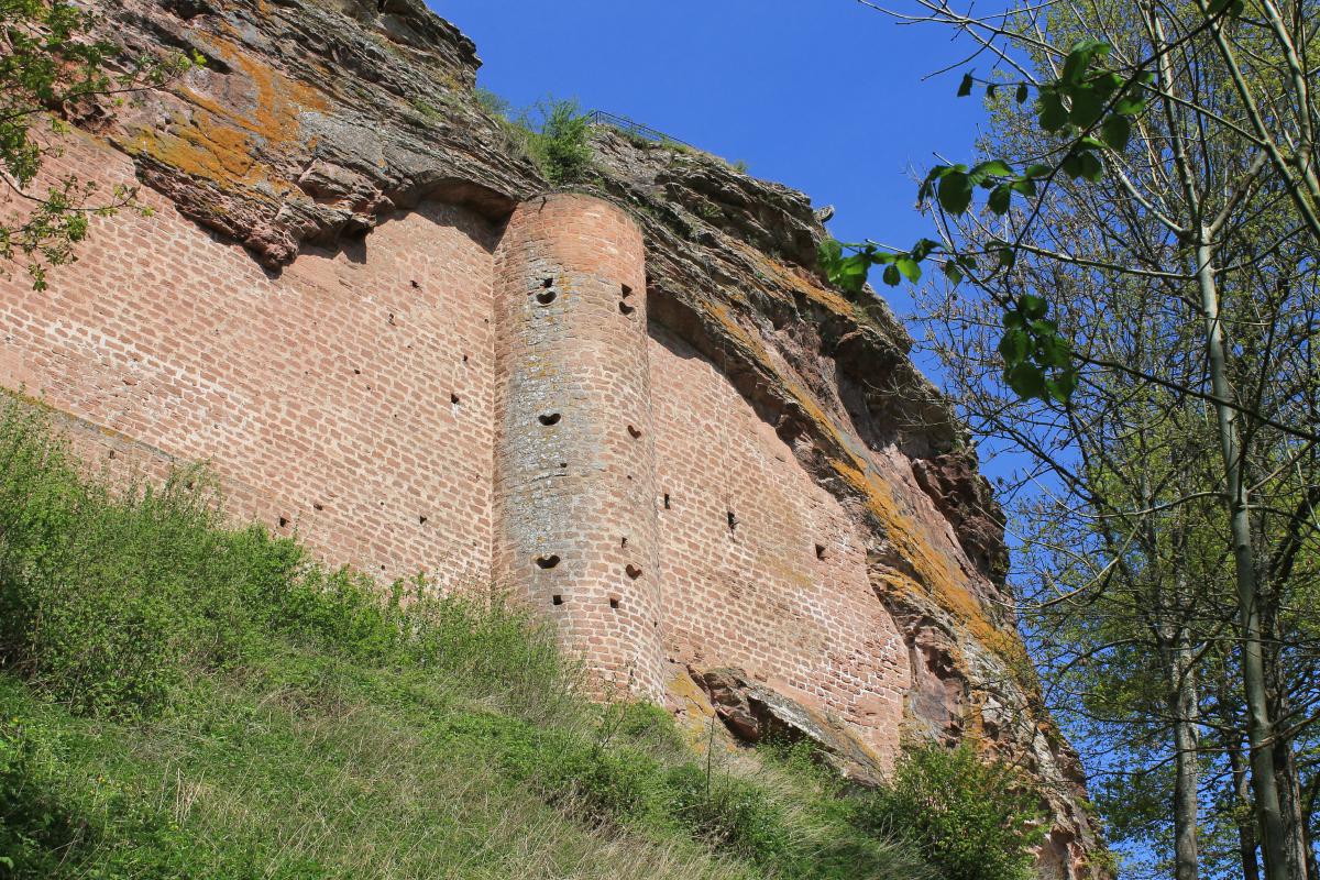 Burgen im Elsass