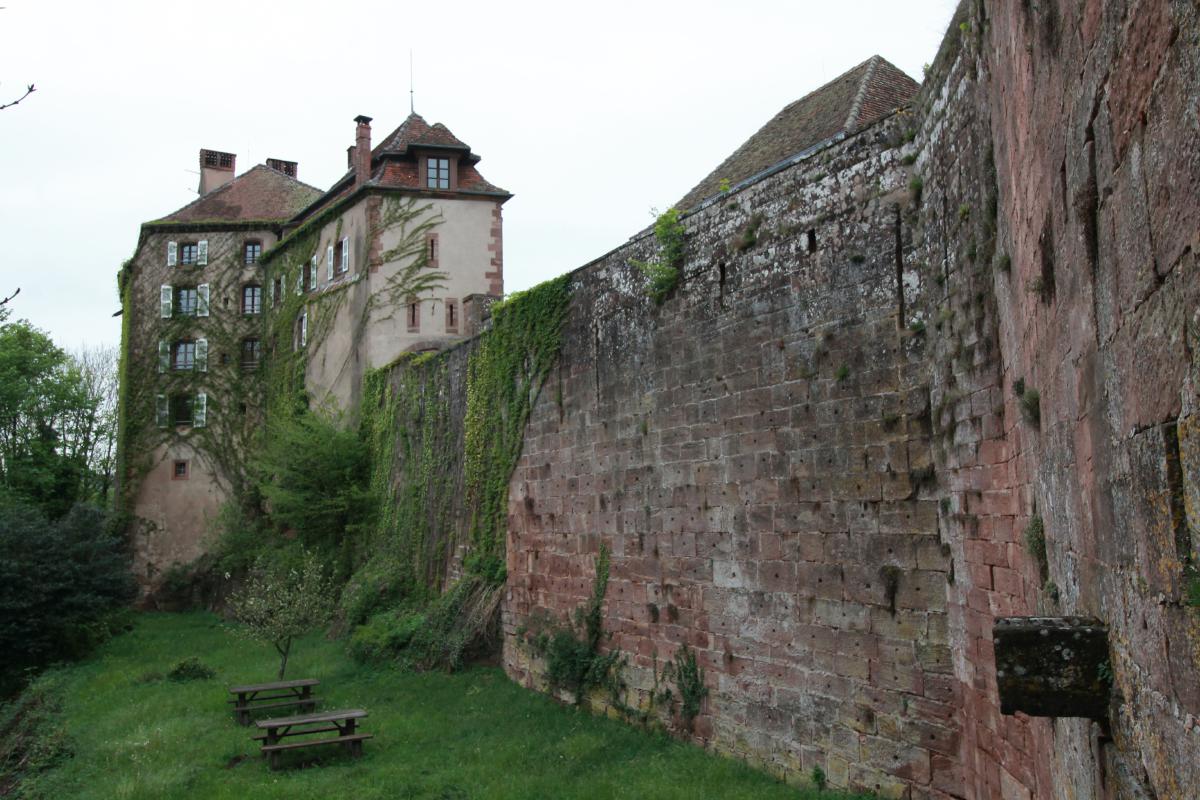 Burgen im Elsass