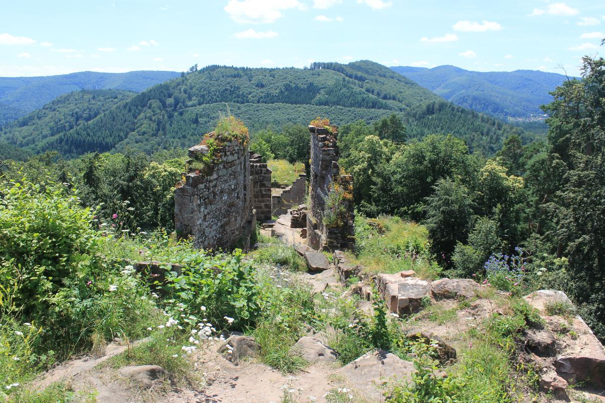 Geheimtipp Elsass